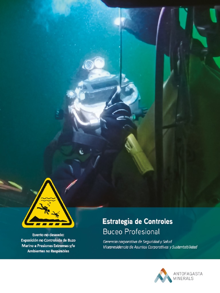 Estrategia - Buceo Profesional | PDF