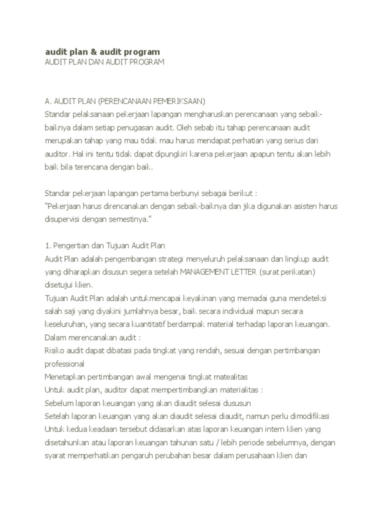 Audit Plan | PDF | Karier & Perkembangan | Bisnis