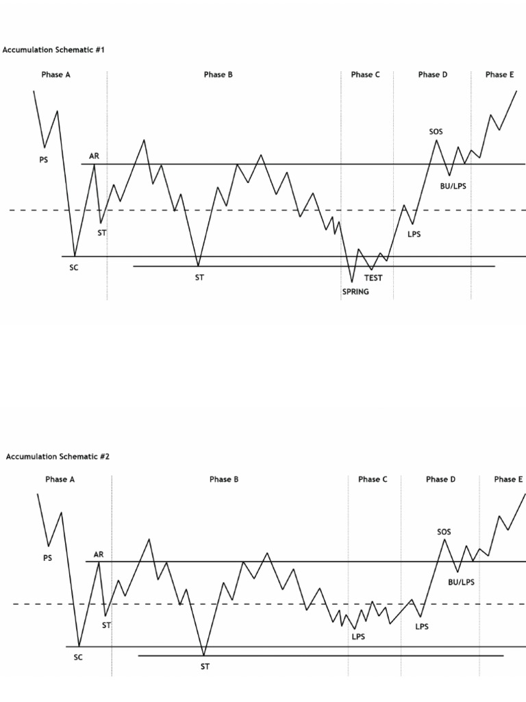 Wyckoff Schematics Zoom | PDF