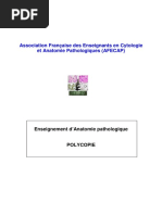 Introduction à l'Anatomie Pathologique | PDF | Immunohistochimie ...