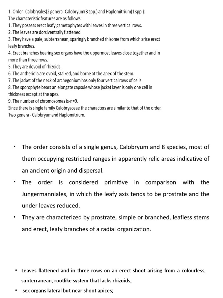 Calobryales | PDF | Science & Mathematics