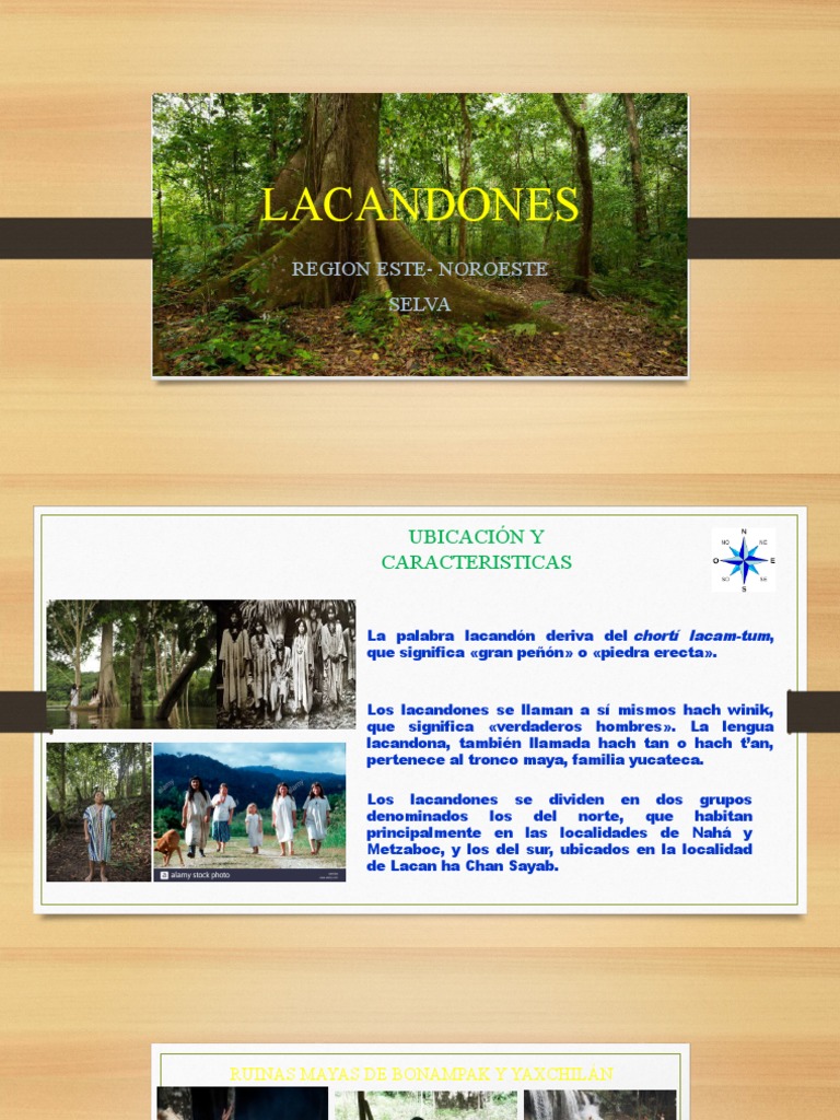 Características culturales y modo de vida de los lacandones, pueblo ...