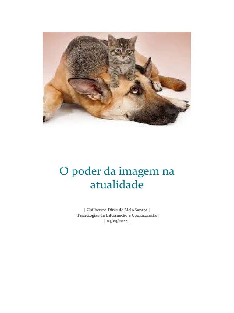 O Poder Da Imagem Na Atualidade | PDF | Rede social | Comunicação