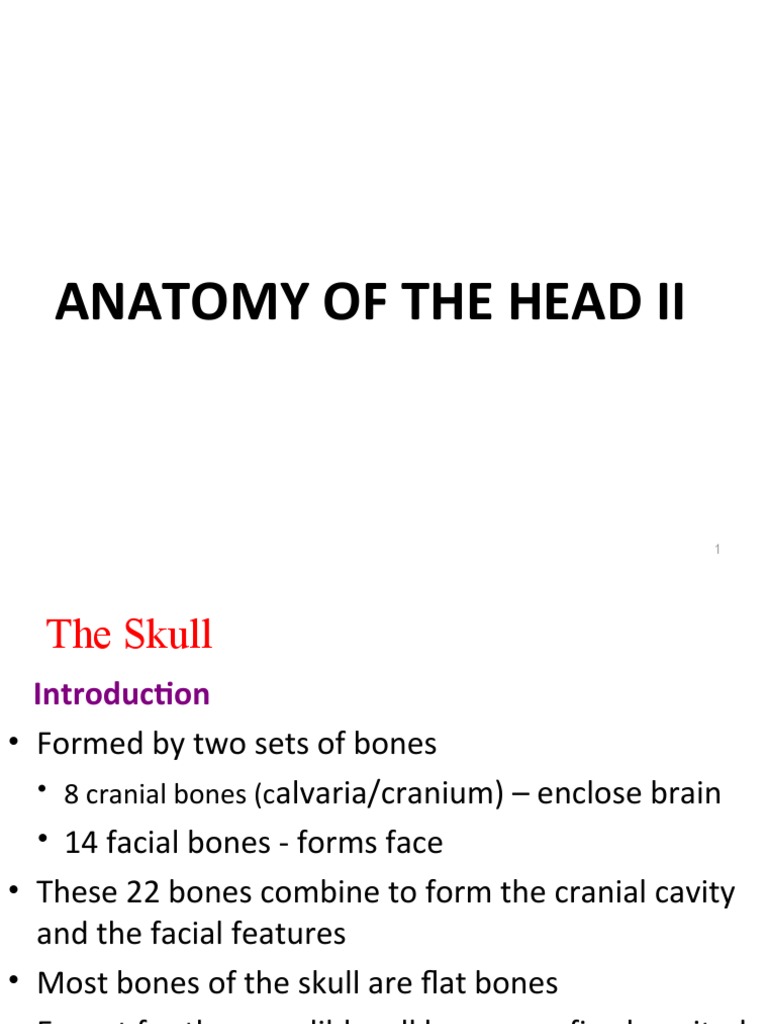 Anatomy of Head-Latest | PDF