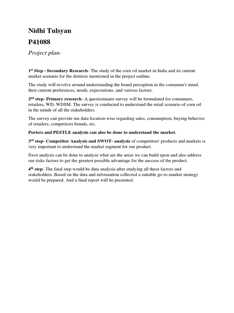 Project Plan - Nidhi Tulsyan | PDF | Business