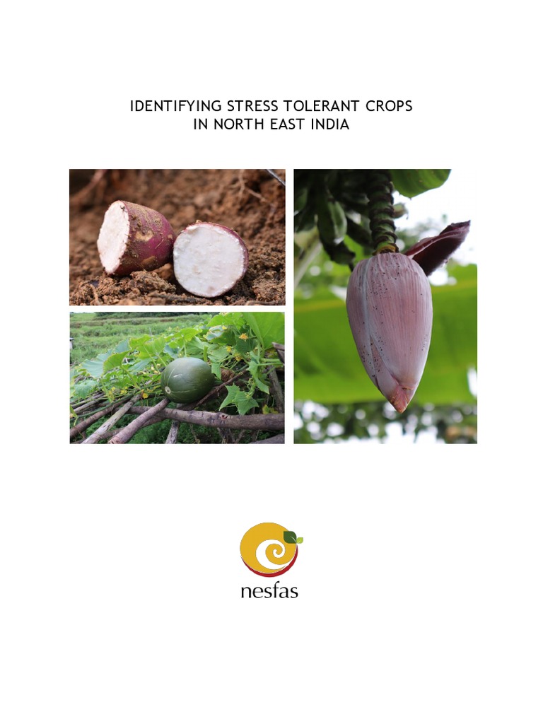 Stress Tolerant Crops | PDF | Agriculture | Crop Rotation