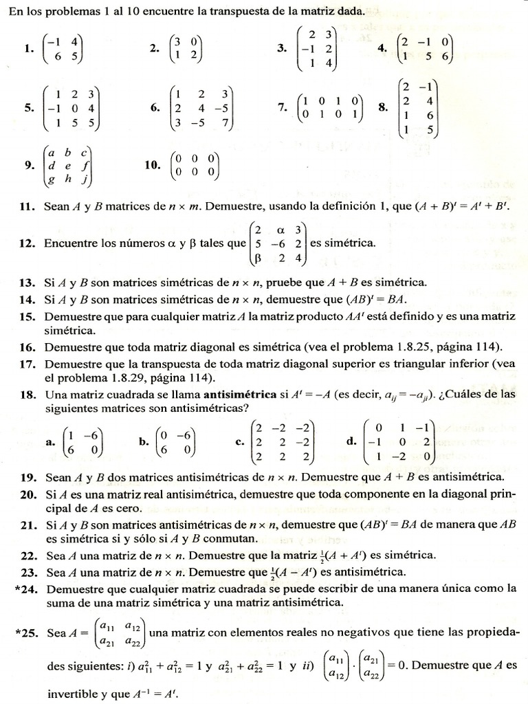 Ejercicios de LA TRANSPUESTA DE UNA MATRIZ | PDF