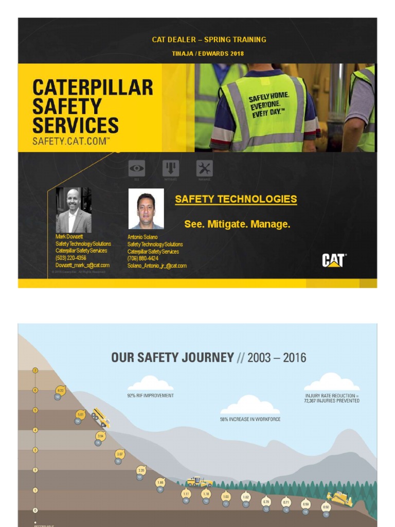 Cat Safety | PDF | Sales