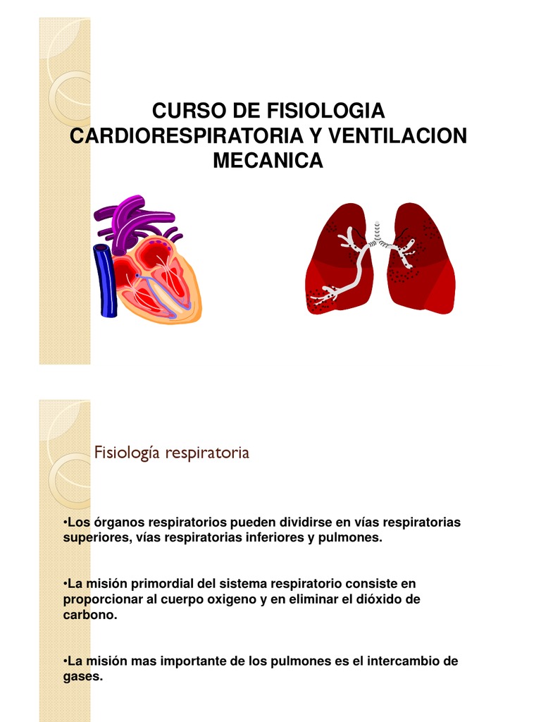 Curso de Ventilación Mecánica | PDF | Sistema respiratorio | Respiración