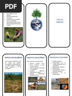 Triptico de Los Suelos | PDF | Suelo | Importar