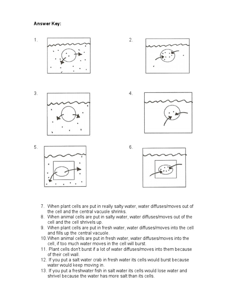 Answer Key | PDF