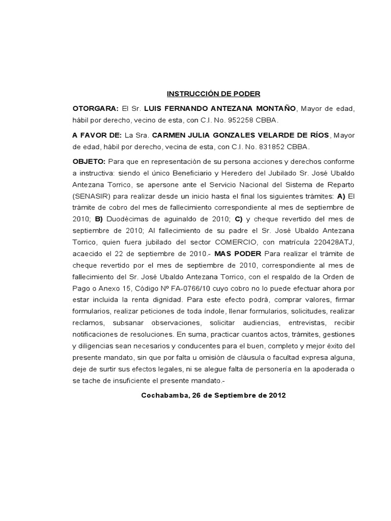 INSTRUCCIÓN DE PODER LUIS FERNANDO ANTEZANA | PDF