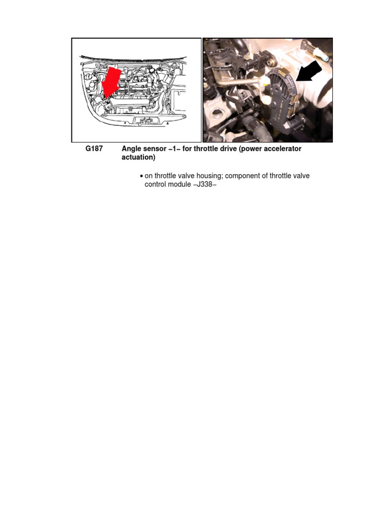 G187 Angle Sensor 1 For Throttle Drive (Power Accelerator Actuation ...