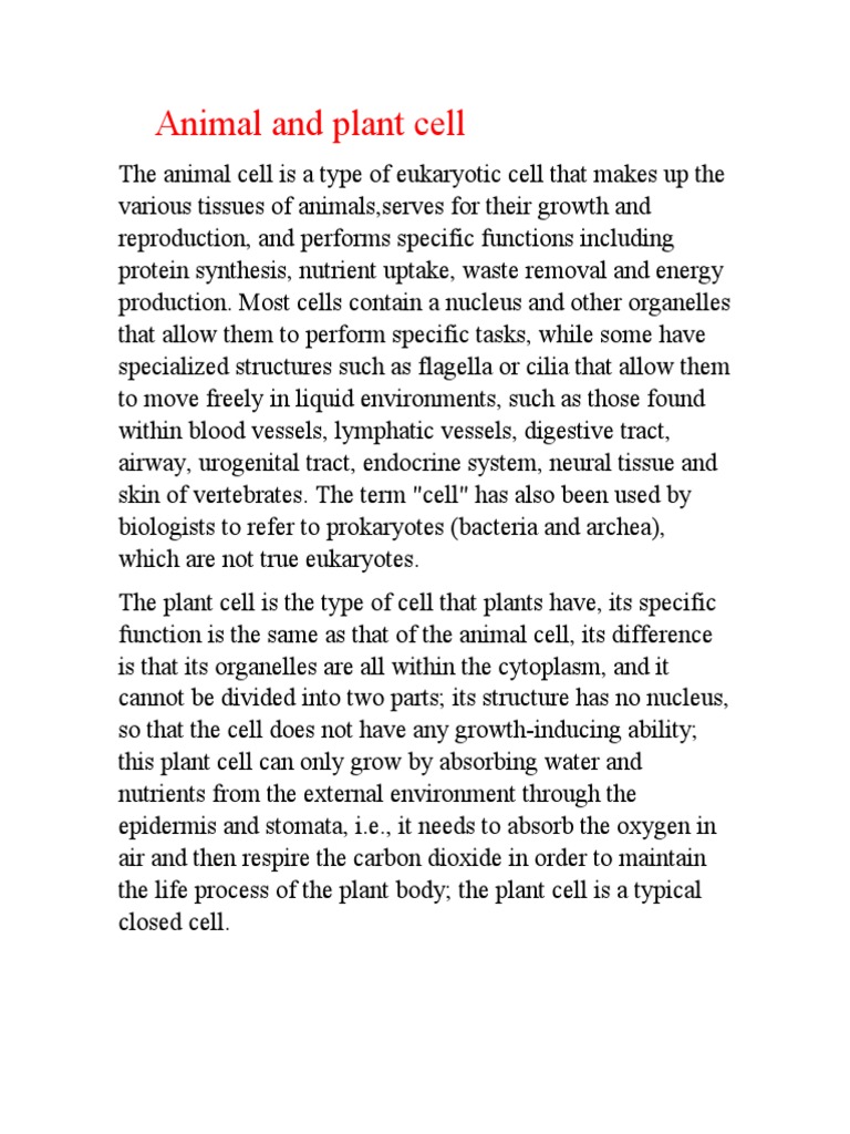 Animal and Plant Cell | PDF