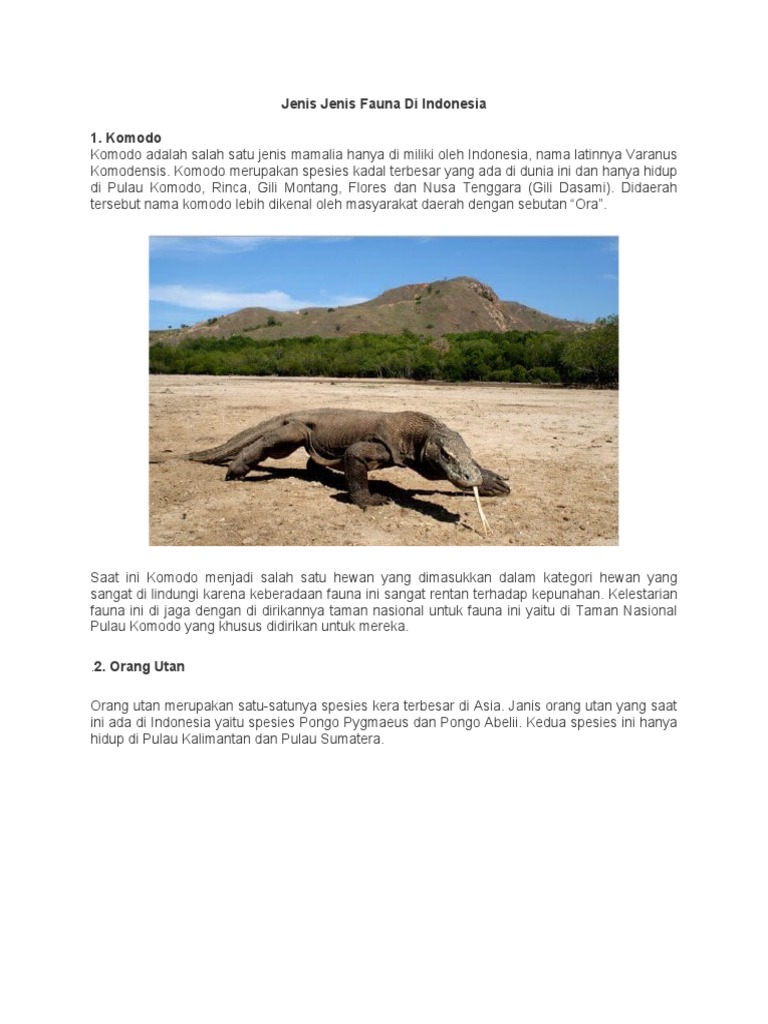 Jenis Jenis Fauna Di Indonesia | PDF