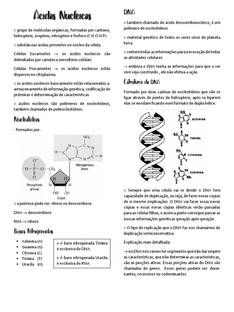 Ácidos Nucleicos - Resumo | PDF | RNA | DNA