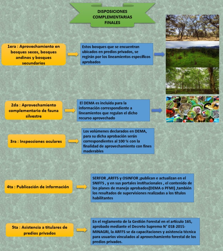 Disposiciones Complementarias Finales | PDF