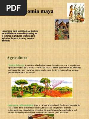 Economia Maya