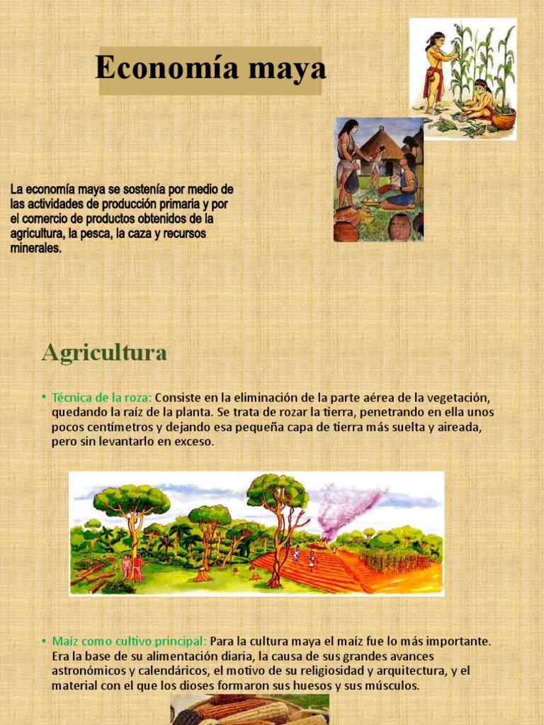 Economía Maya | PDF