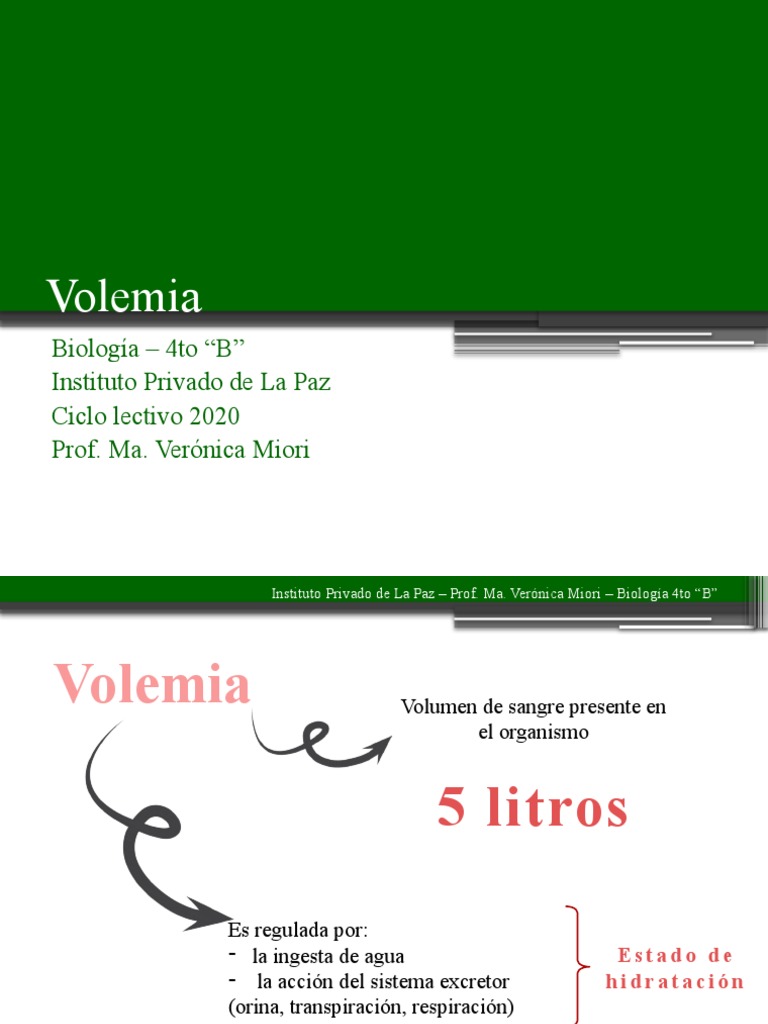 Volemia y Sistema Linfático | PDF | Sistema linfático | Linfocitos