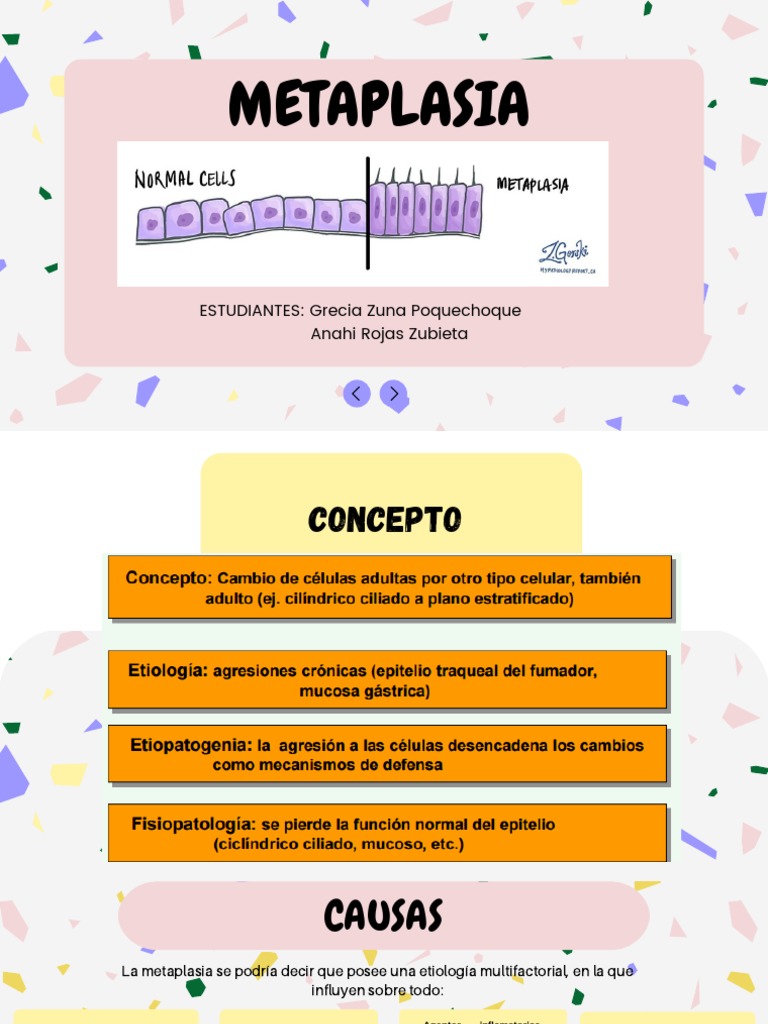 Causas y tipos de metaplasia celular | PDF | Epitelio | Regeneración ...