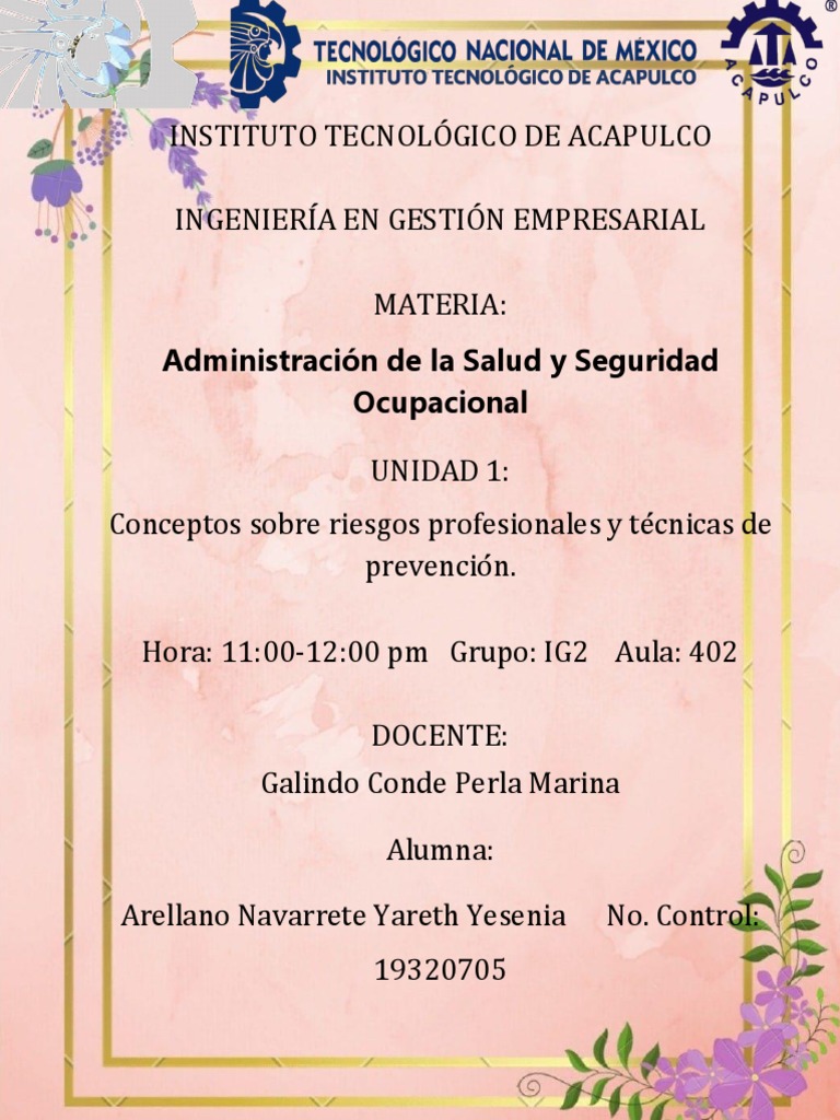 Reporte Programa de Las 5S | PDF