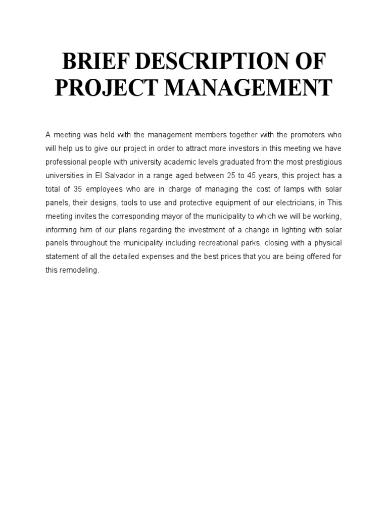 Brief Description of Project Management | PDF