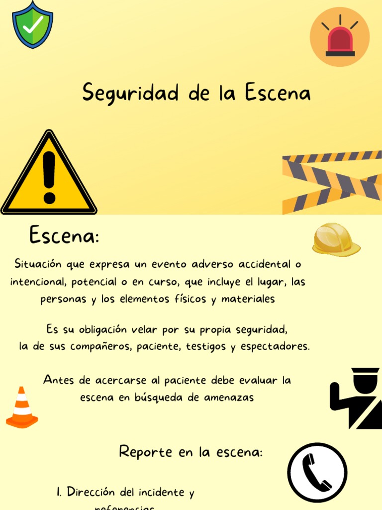 Seguridad de La Escena | PDF