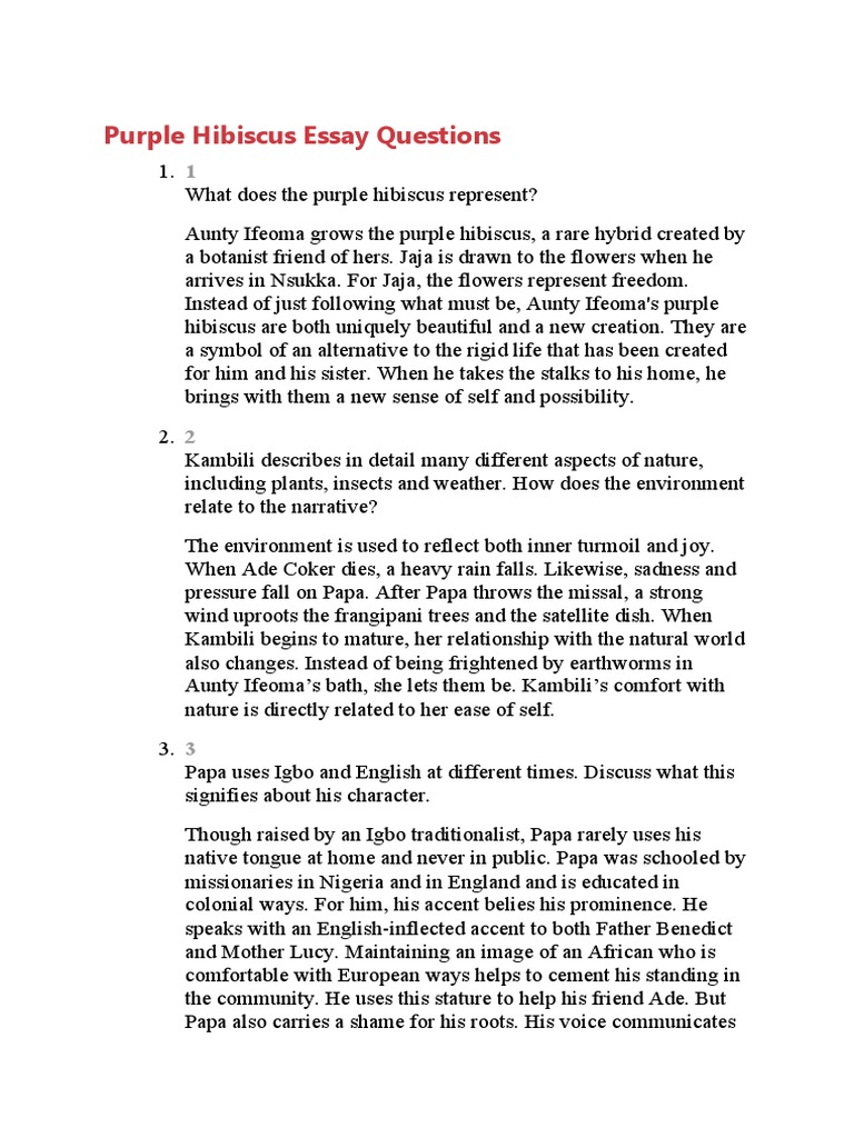 Purple Hibiscus Essay Questions Guide | PDF