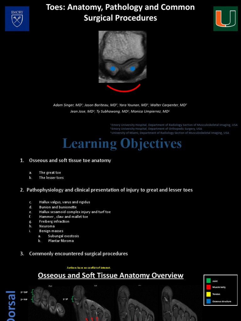 Toe Anatomy and Surgical Procedures | PDF | Toe | Musculoskeletal System