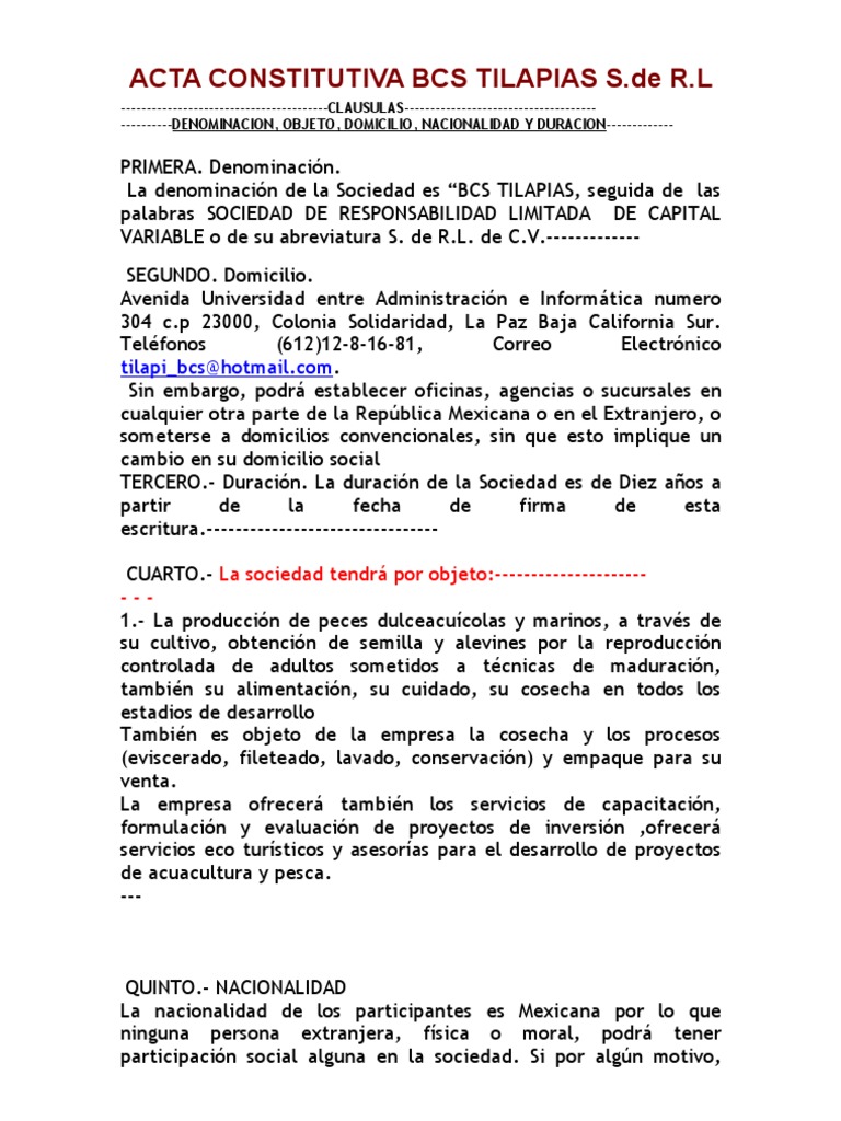 acta constitutiva | Sociedad de responsabilidad limitada | Gobierno