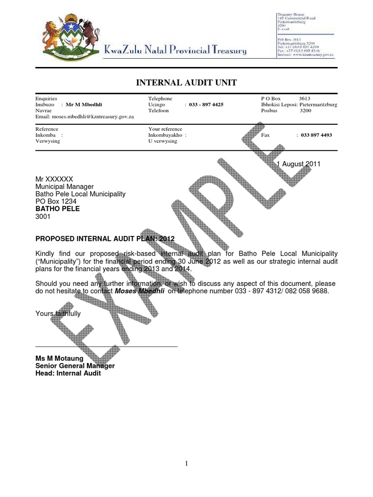Internal Audit Plan - Example | PDF | Internal Audit | Audit