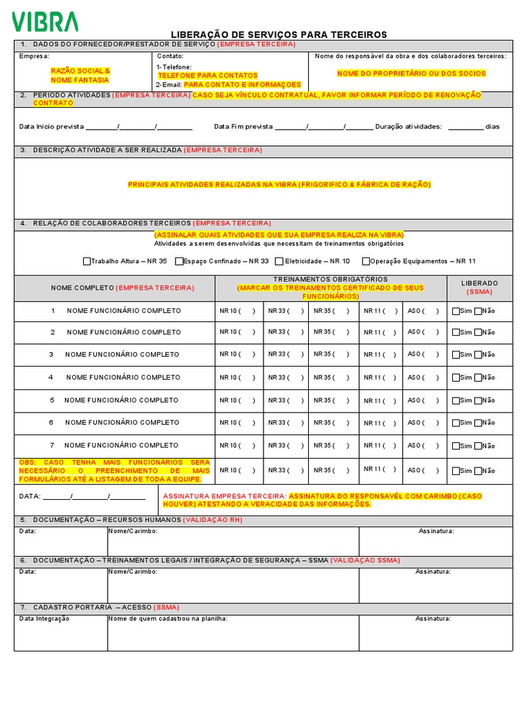 Anexo 2 - Formulário Modelo | PDF