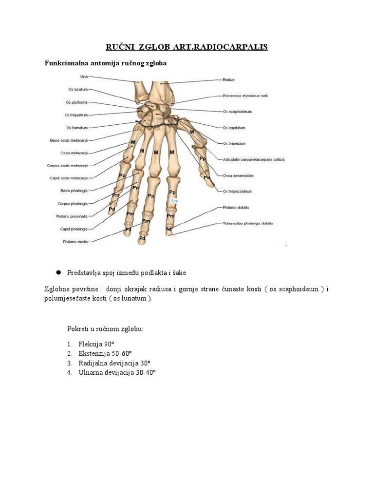 3 Ručni Zglob | PDF