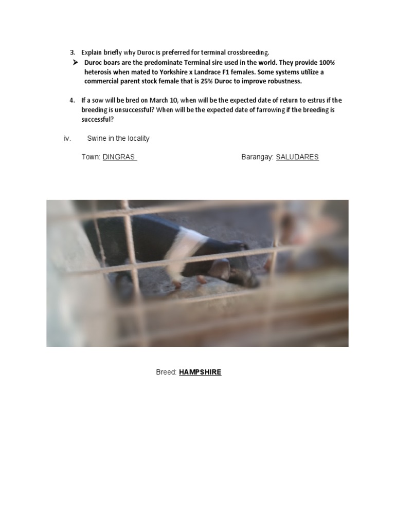 Lab Ex 2 - 2021 Part 2 | PDF