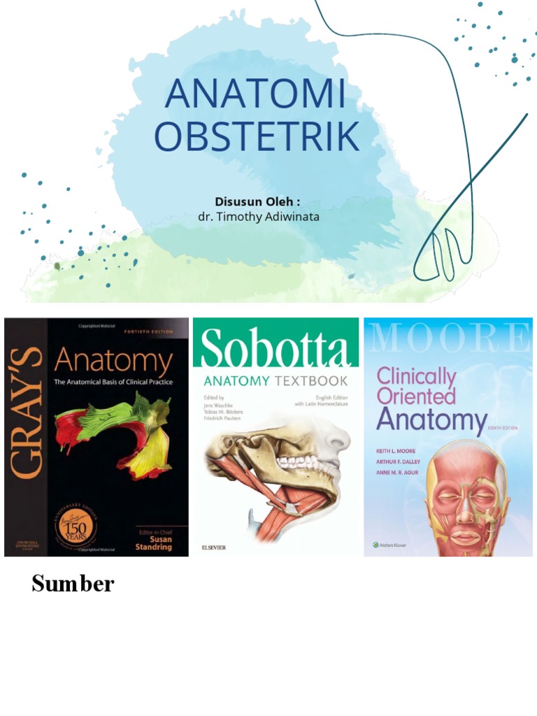 Anatomi Obstetrik & Ginekologi | PDF