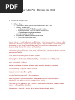 Havran - Rozbor K Maturitě | PDF