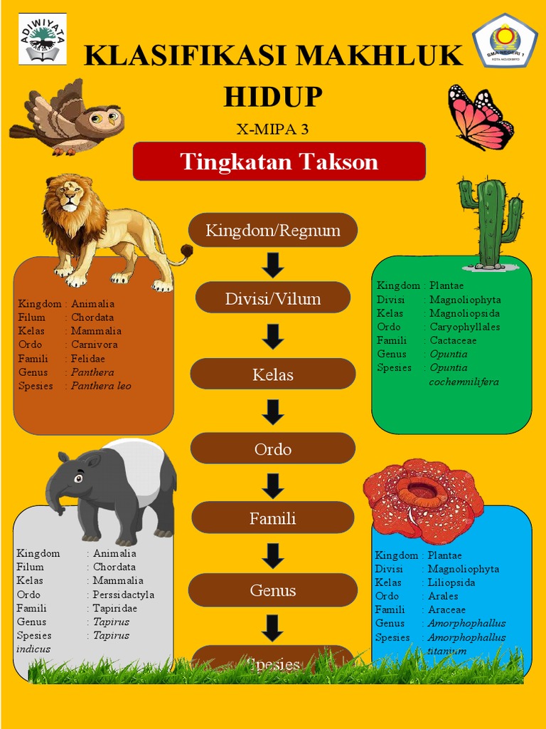 Klasifikasi Makhluk Hidup: Tingkatan Takson | PDF