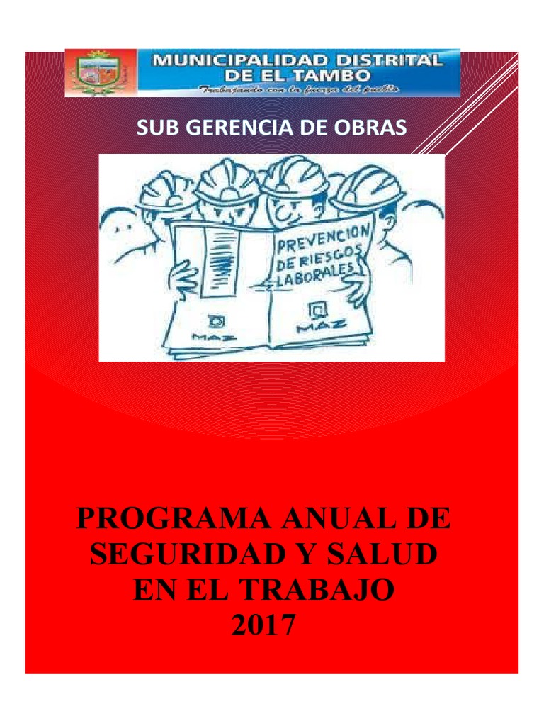 Programa Anual de SST | PDF | Seguridad y salud ocupacional | Auditoría