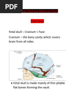Four Types of Pelvis Explained | PDF | Pelvis | Anatomy