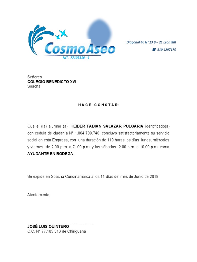 Carta Servicio Social | PDF