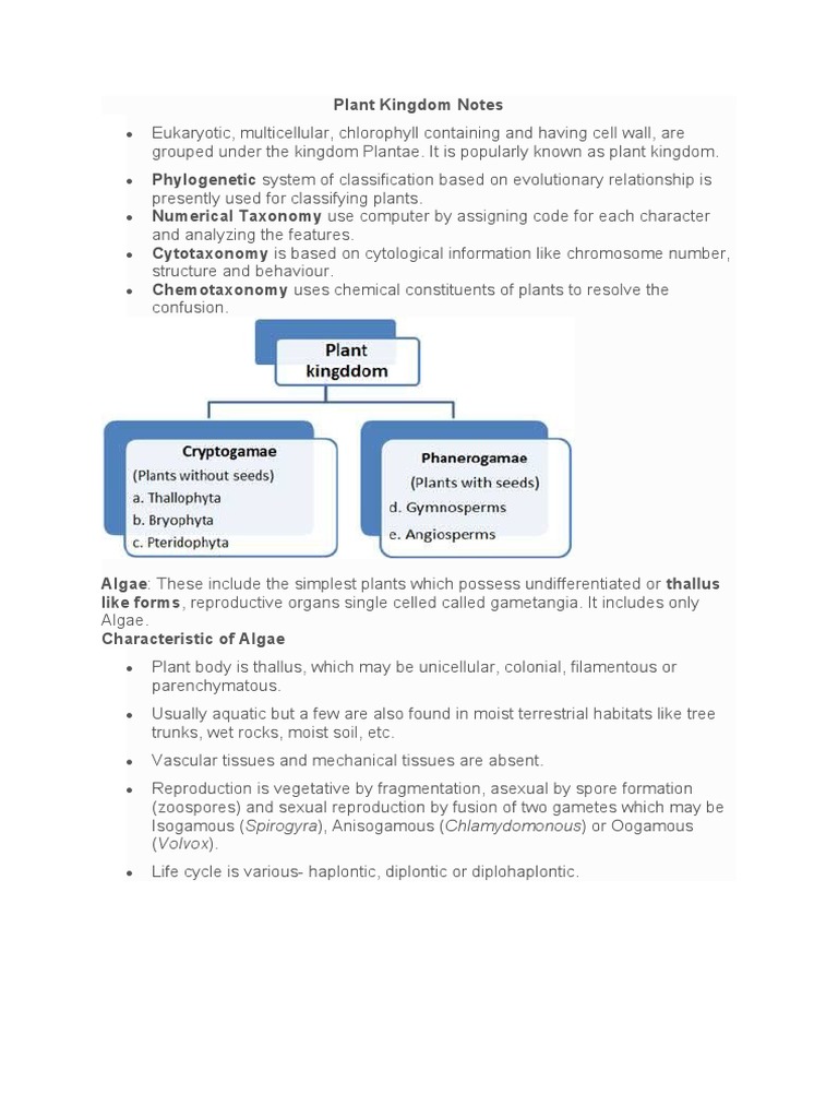 Chapter-3 - Plant Kingdom Notes | PDF | Branches Of Botany | Eukaryotes