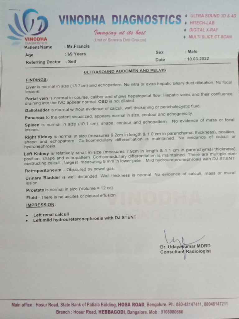 Scan Report PDF | PDF | Medical Specialties | Anatomy