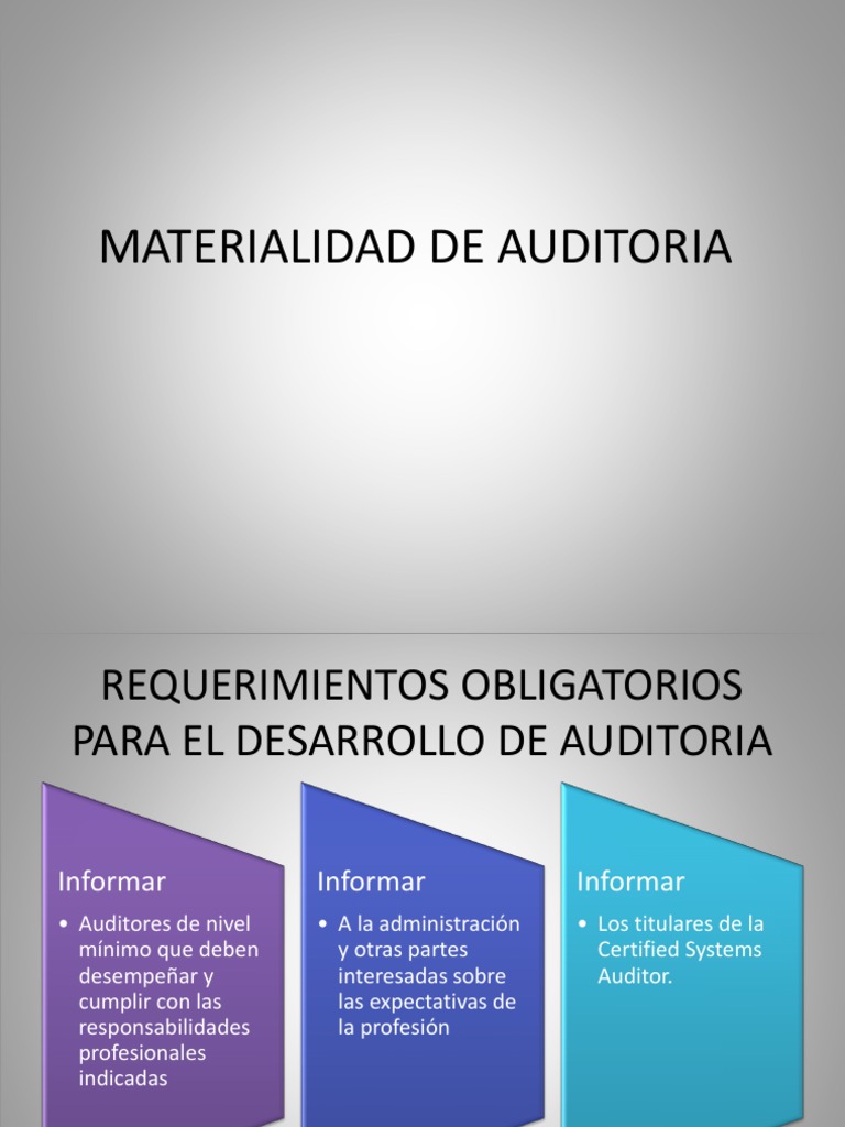 MATERIALIDAD | PDF | Auditoría | Evaluación