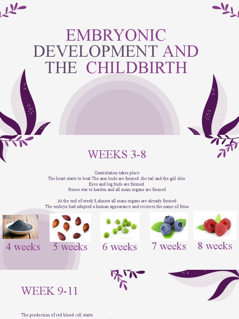 Embryonic Development Timeline: Weeks 3-40 | PDF | Self-Improvement ...