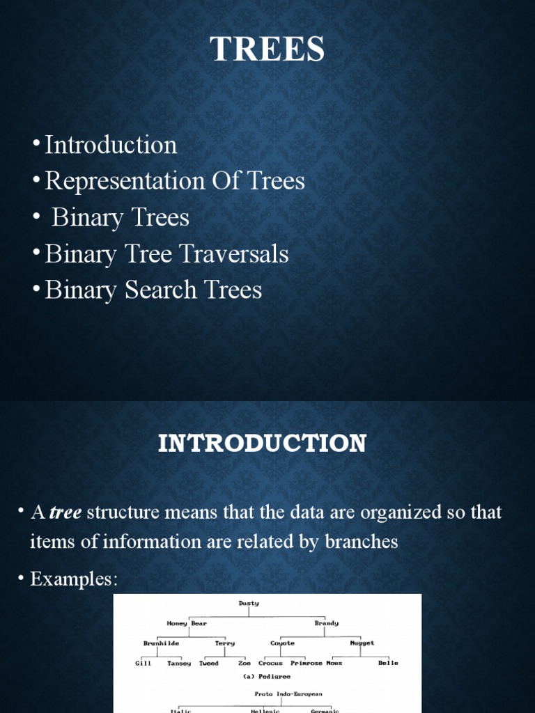 Trees Introduction Representation Of Trees Binary Trees Binary Tree Traversals Binary