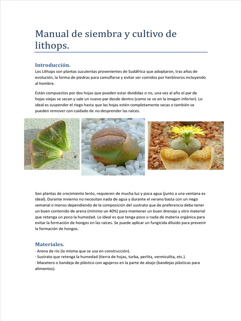 Vdocuments - MX - Manual de Siembra y Cultivo de Lithops | PDF ... Vdocuments - MX - Manual de Siembra y Cultivo de Lithops | PDF ...