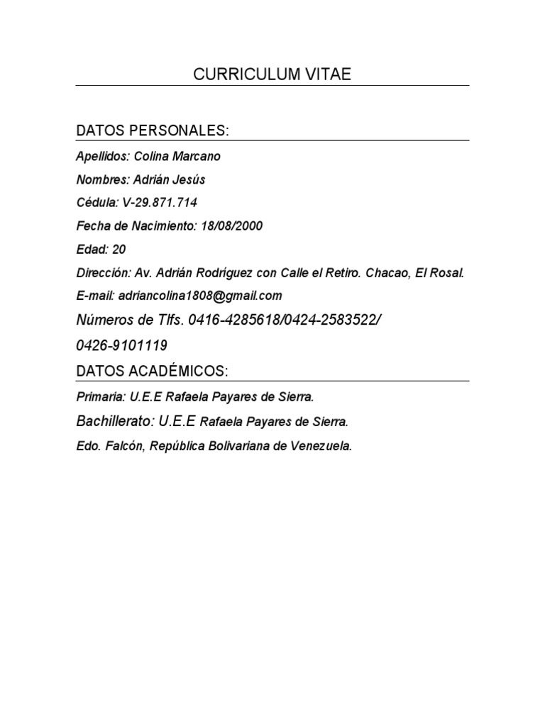 Curriculum Vitae Luis Morales | PDF