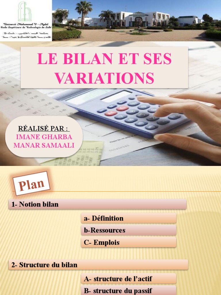 Bilan Et Ses Variations | PDF | Bilan comptable | Capitaux propres