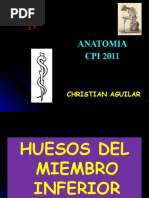 Anatomía del Maléolo Interno del Tobillo | PDF | Tobillo | Anatomía del ...